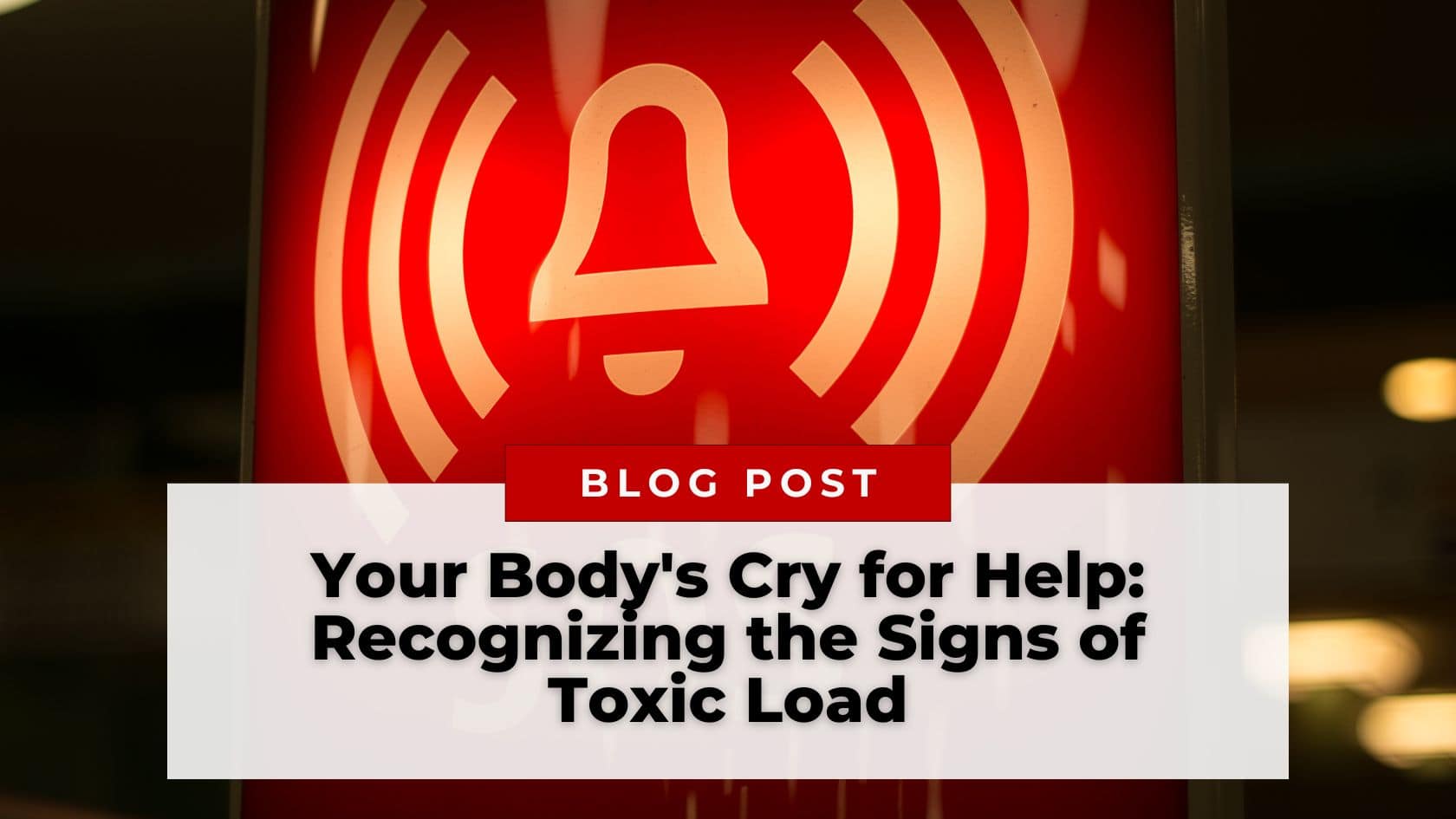Your Body's Cry for Help: Recognizing the Signs of Toxic Load - The ...